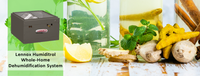 Lennox Humiditrol Whole-Home Dehumidification System - Marsh Heating